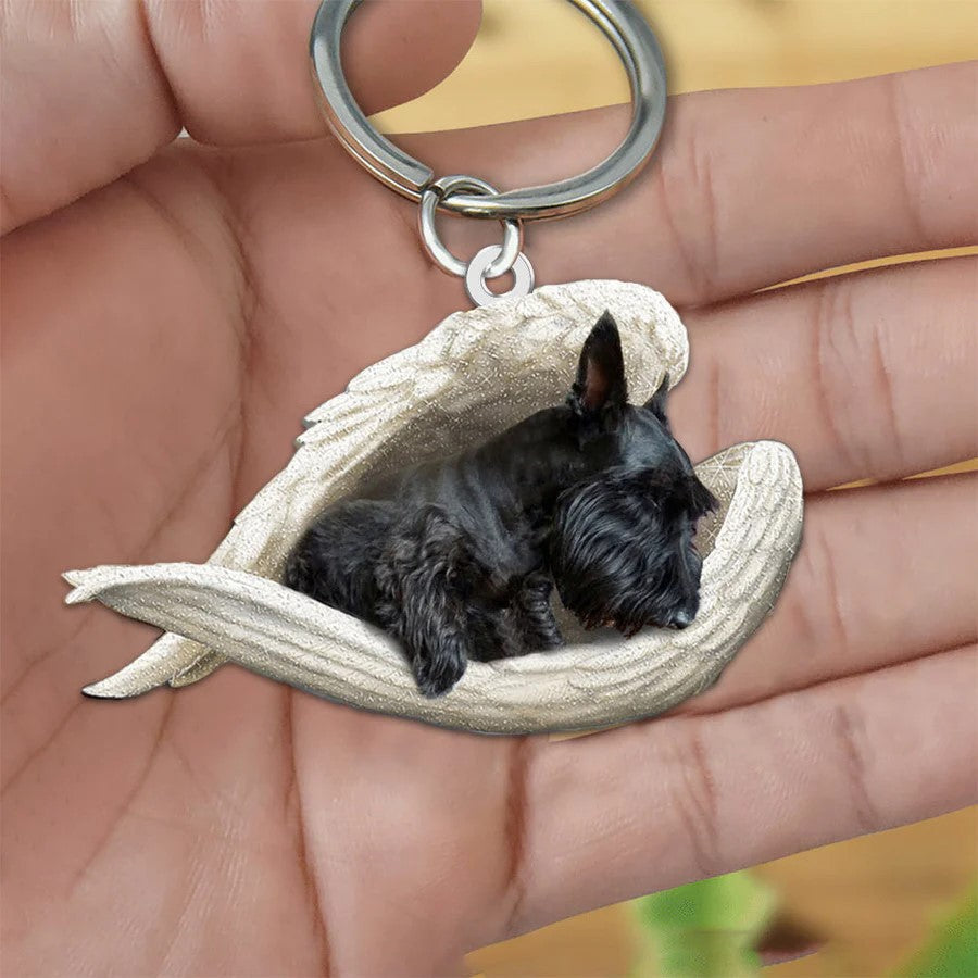 Sleeping Angel Acrylic Keychain Page 4 - Nberd
