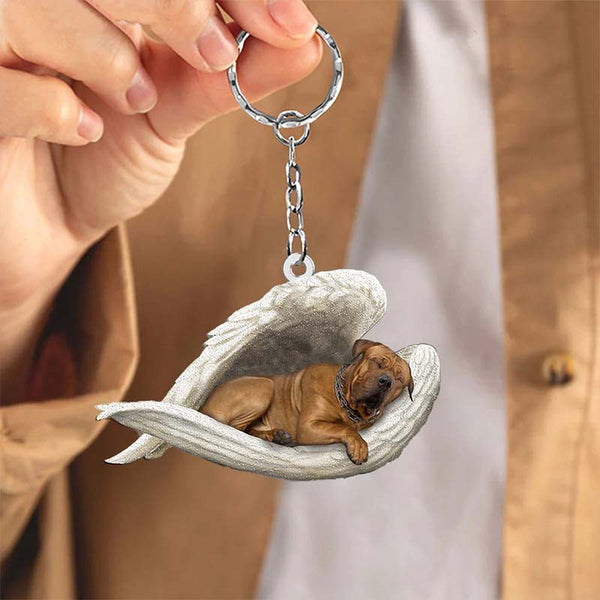 Sleeping Angel Acrylic Keychain Tosa SA185 - Nberd