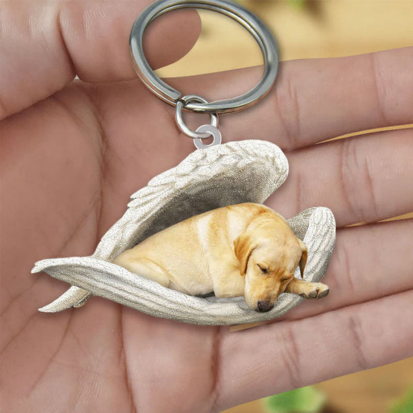Sleeping Angel Acrylic Keychain - Nberd